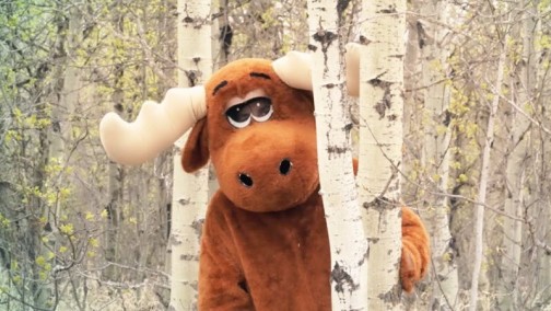 Dan Davidson "Found" The Fun In Country Music | ACountry